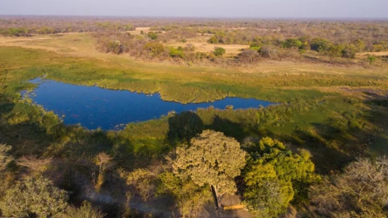 Zambia Wildlife Translocation: Major Conservation Effort Underway