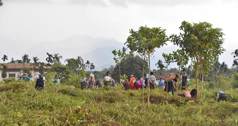Gelephu Mindfulness City: Bhutan's Bold Vision for Sustainable Urban Living