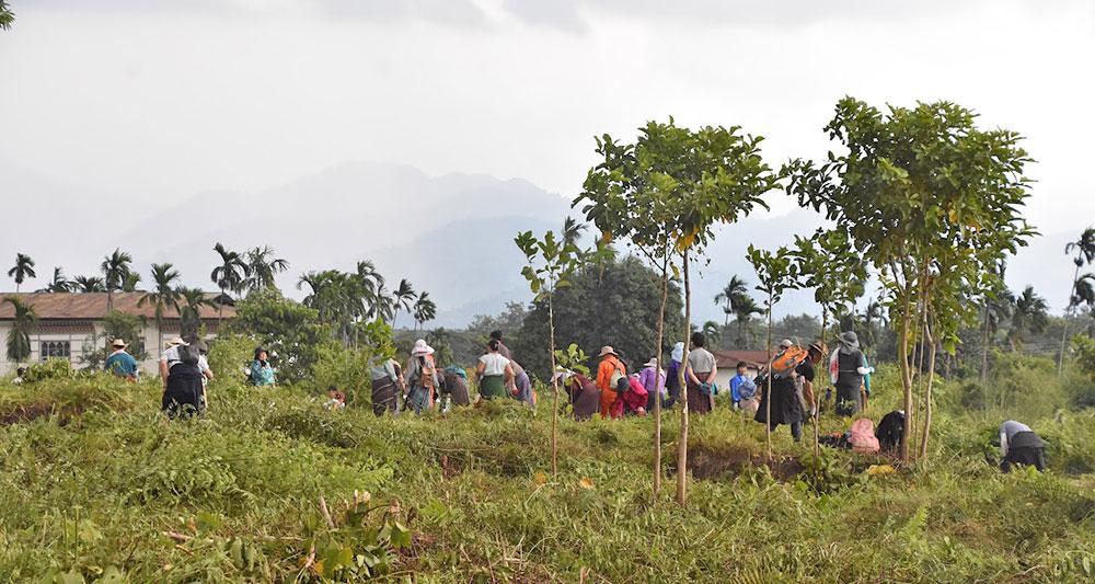Gelephu Mindfulness City: Bhutan's Bold Vision for Sustainable Urban Living